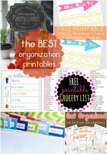 The Best Organization Printables | Utah Sweet Savings